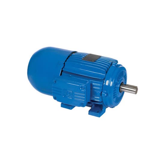 Motores con freno WEG - Motores electricos ::-:: Indusell SRL